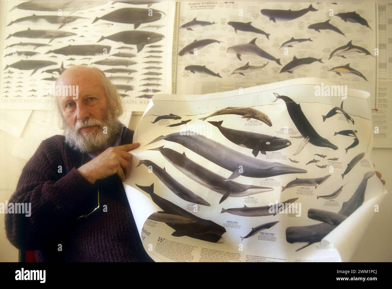 Sidney holt hi-res stock photography and images - Alamy