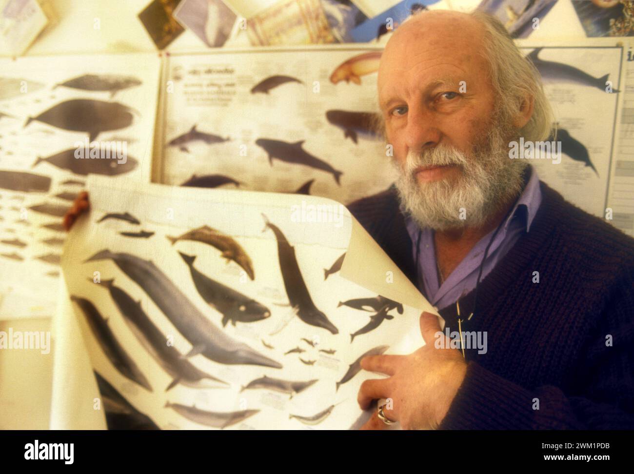 MME4702087 Portarit by marine biologist Sidney Holt.; (add.info.: Portarit by marine biologist ...