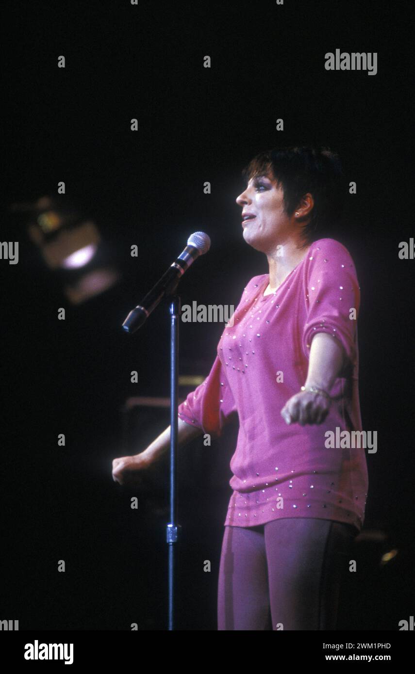 MME4703946 Singer and actress Liza Minnelli on stage in 1990; (add.info ...