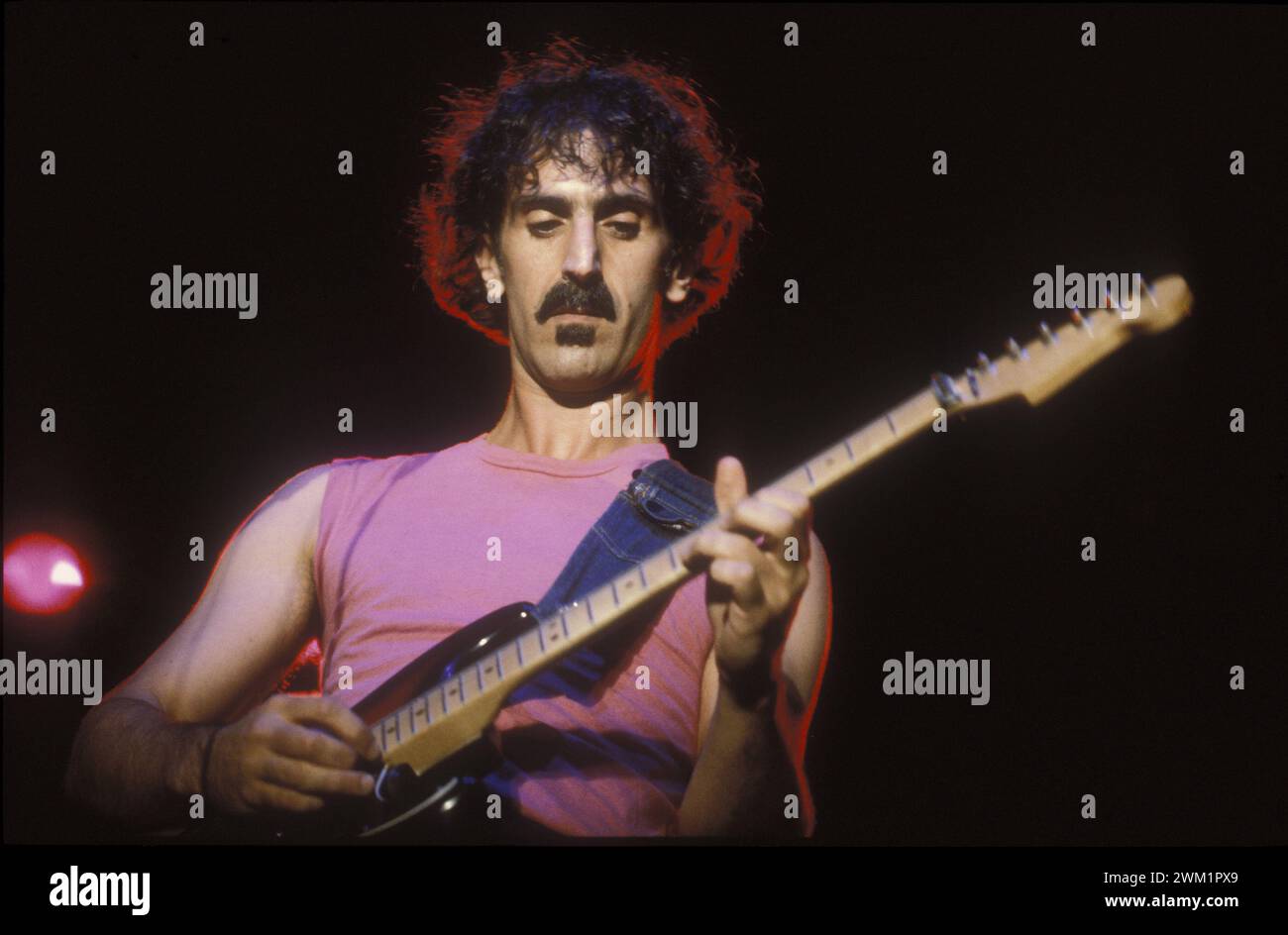 MME4706700 Portrait of rock musician Frank Zappa in 1982.; (add.info ...