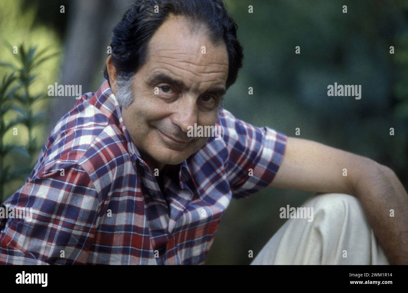 MME4708264 Portrait of Italian writer Italo Calvino, Roccamare ...
