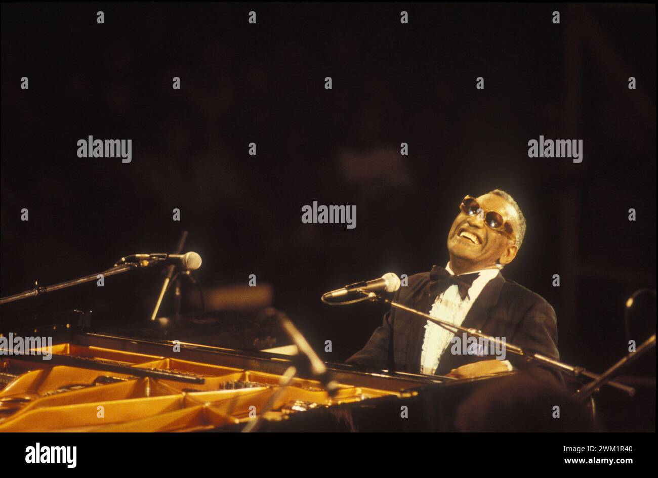MME4708690 Portrait of musician and singer Ray Charles in 1990.; (add ...