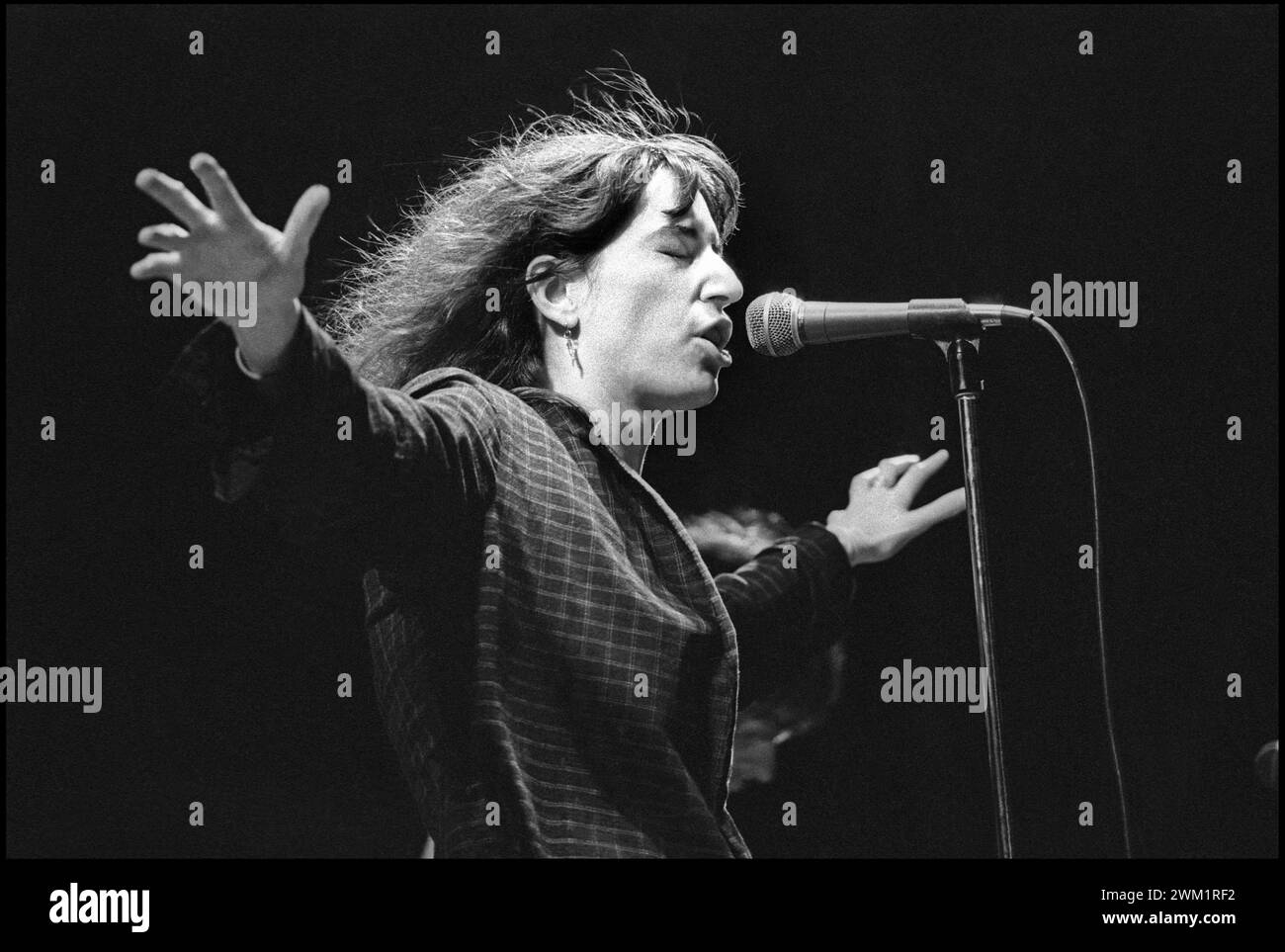 MME4712574 PATTI SMITH, singer and songwriter, 1979/PATTI SMITH, singer ...