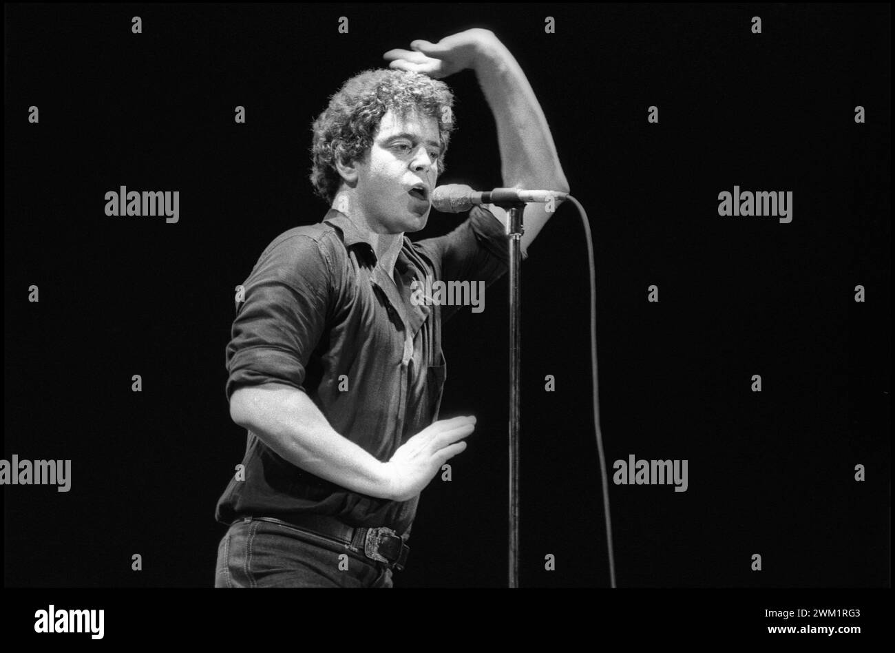 MME4712792 LOU REED, singer and songwriter, 1980/LOU REED, cantante and ...