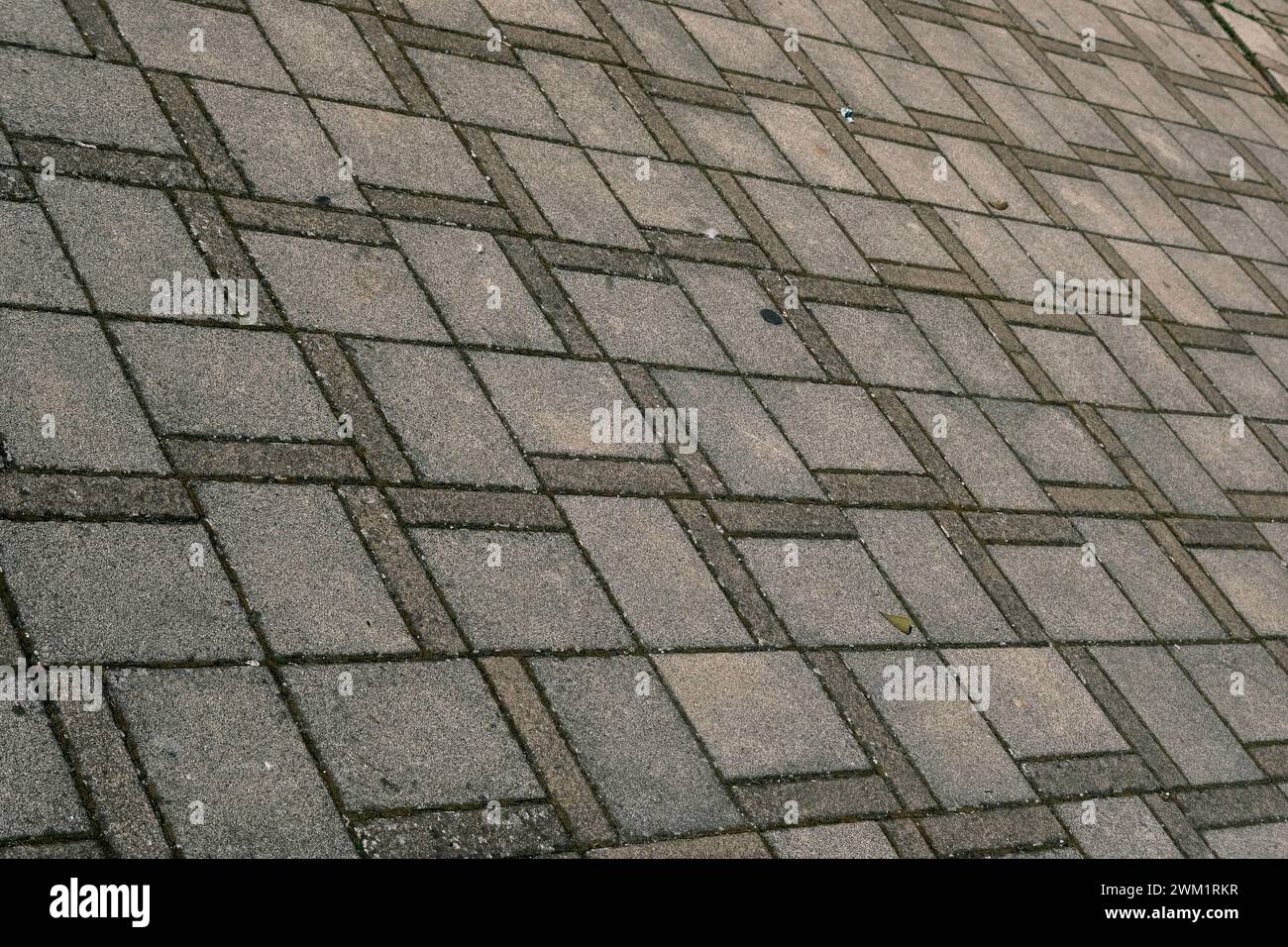 A detailed image of a rectangular grey brick walkway with a diagonal ...