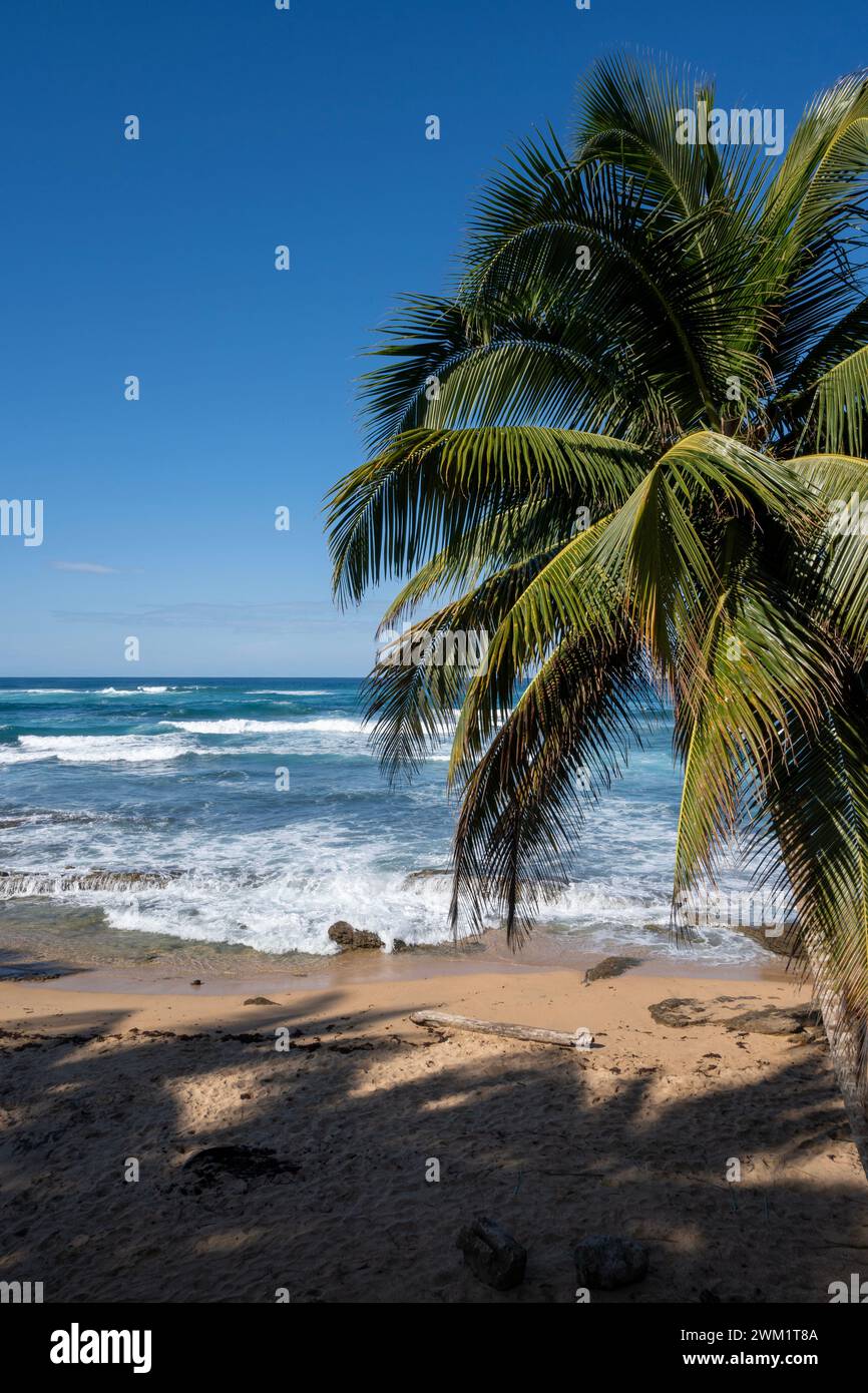 El Cocal Beach, Puerto Rico Stock Photo - Alamy