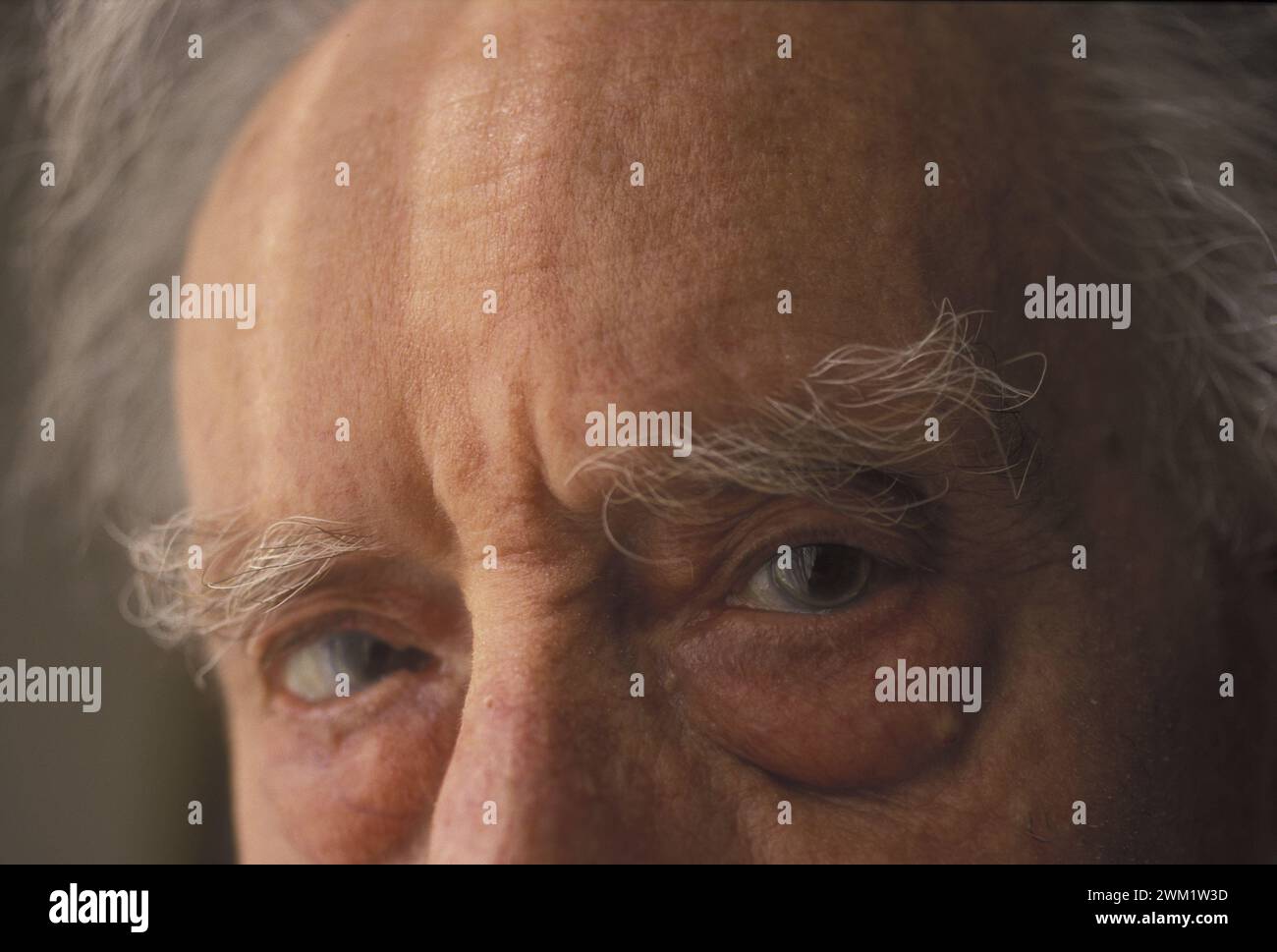 MME4728269 Florence, 1998 Italian poet Mario Luzi/Firenze, 1998 Il ...