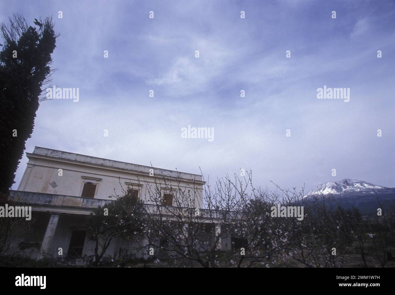 MME4730349 Torre del Greco (Naples), 1998. Villa Ferrigni, known as ...