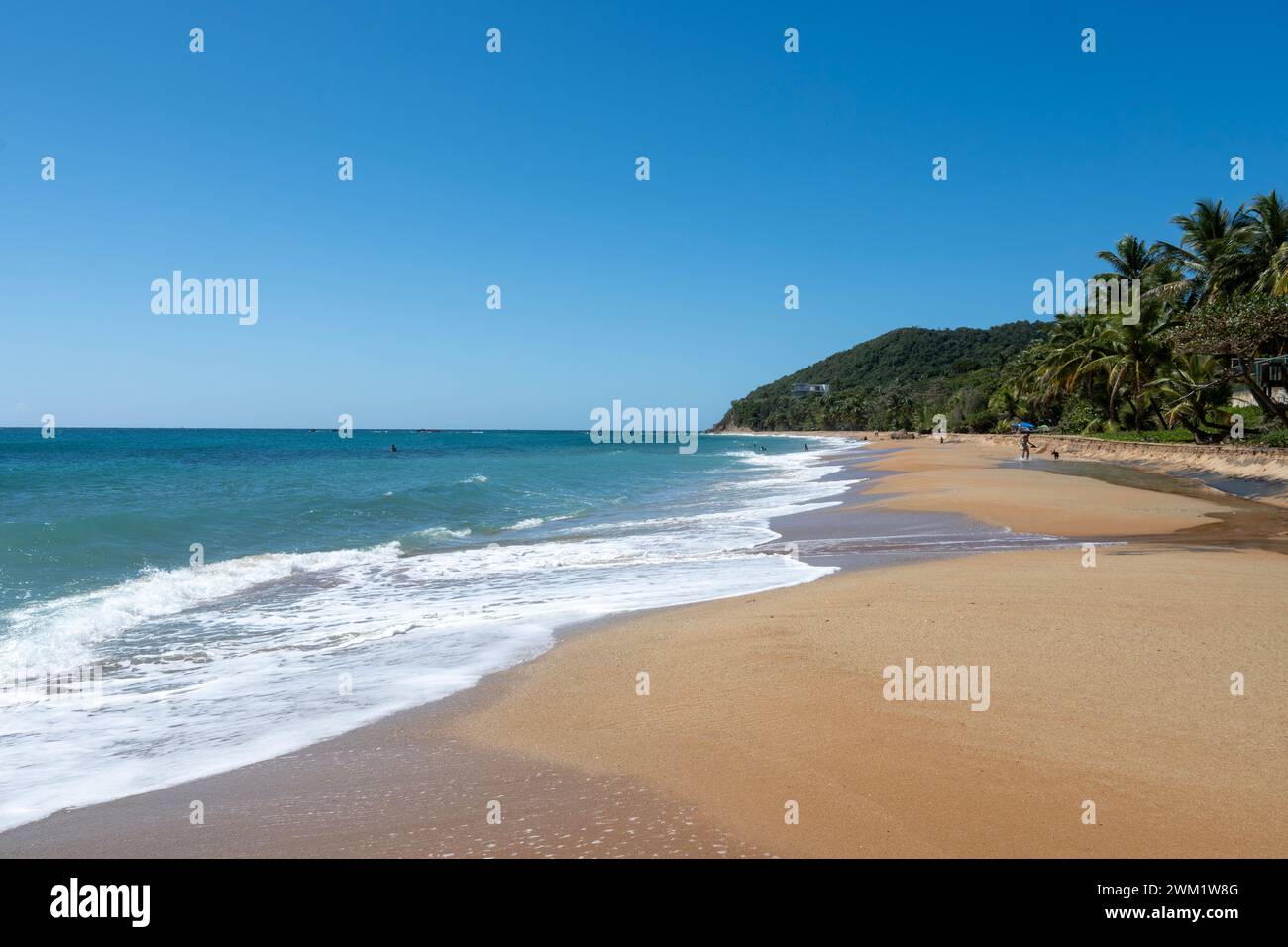 El cocal hi-res stock photography and images - Alamy