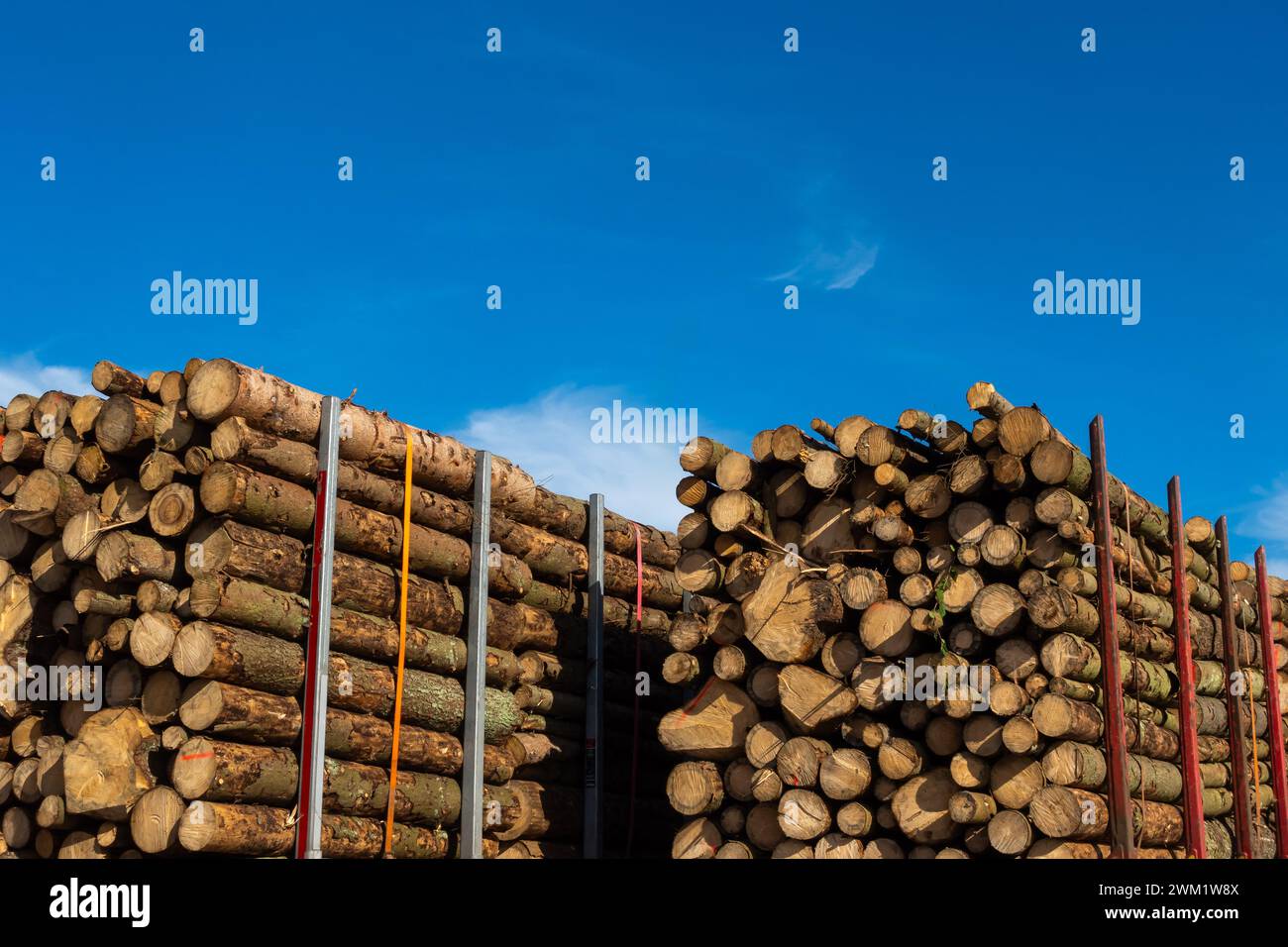 Deforestation logging truck hi-res stock photography and images - Alamy