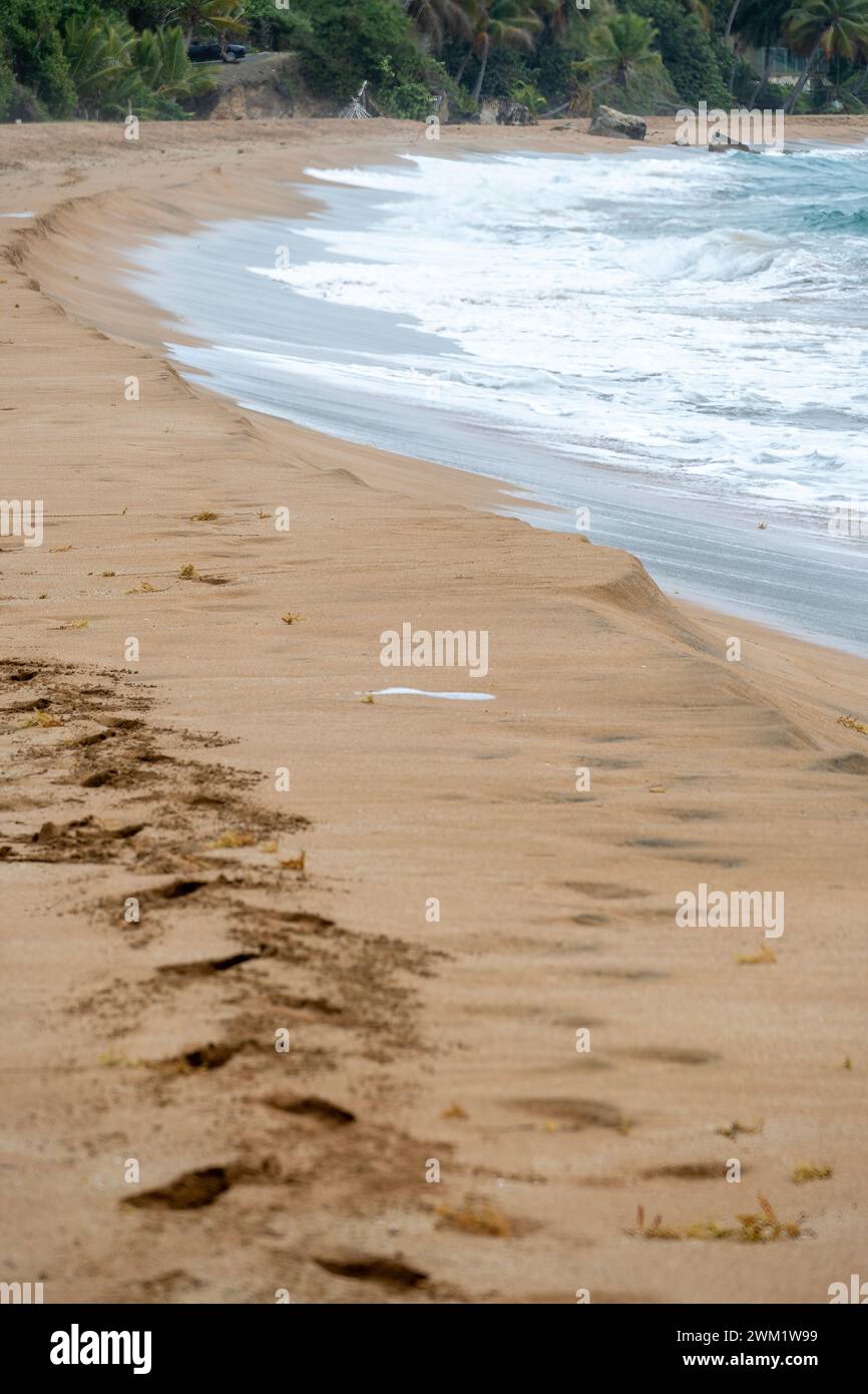 Sand and Surf on a Puerto Rican Beach Stock Photo - Alamy