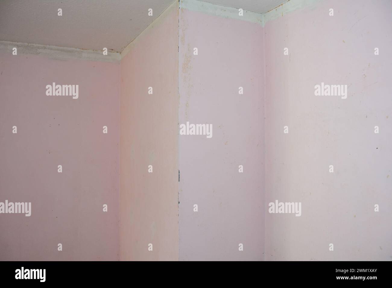 Pink walls with ceiling of an apartment during renovation Stock Photo ...