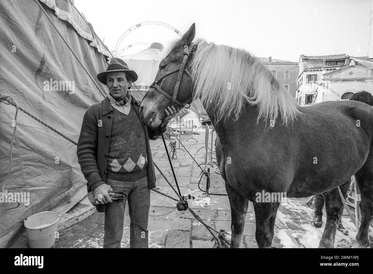 C20th animals Black and White Stock Photos & Images - Alamy