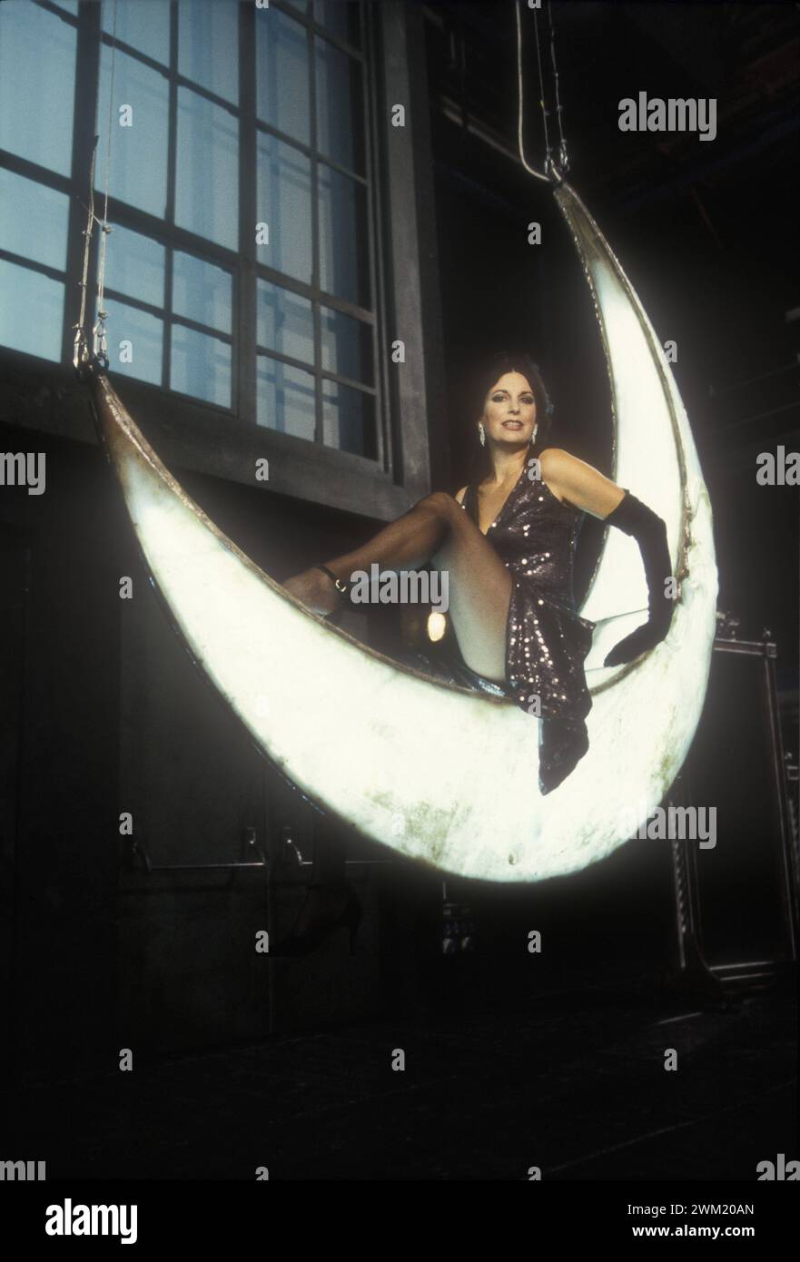 Spettacolo dog hi-res stock photography and images - Alamy