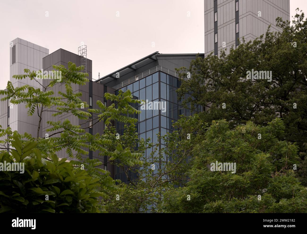 Architectural window details of the University of Glasgow buildings and ...