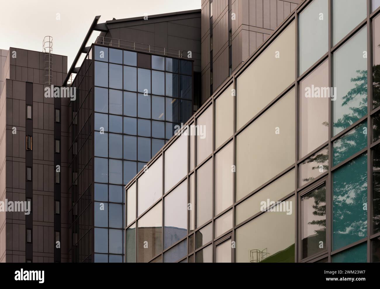 Architectural window details of the University of Glasgow buildings and ...