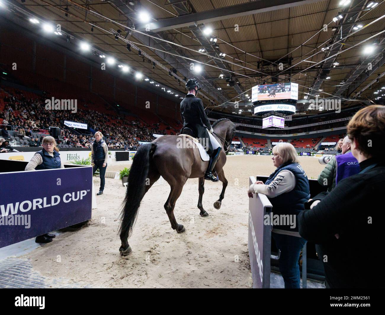 Marc steeno hi-res stock photography and images - Alamy