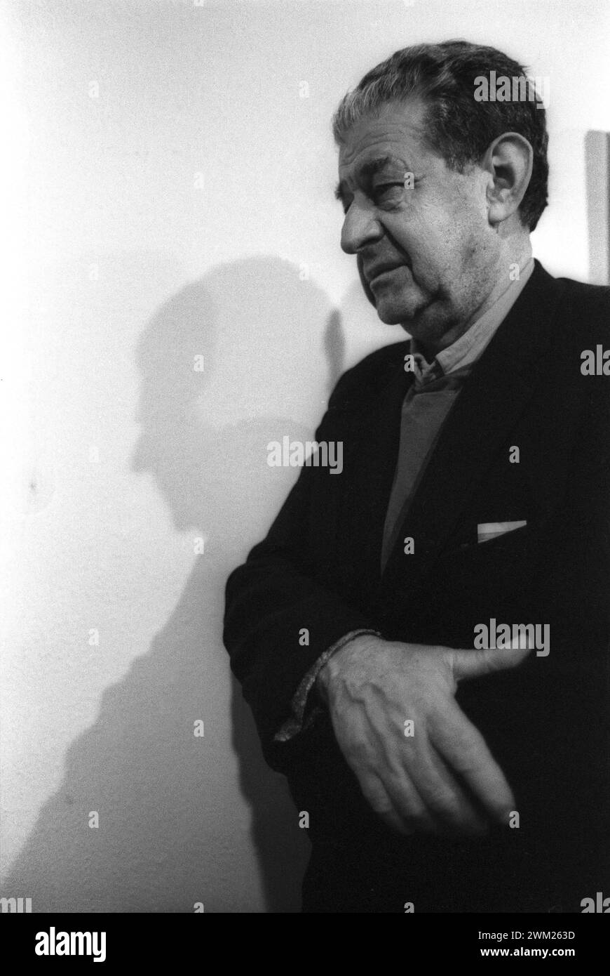 Biennale art 1980 hi-res stock photography and images - Alamy