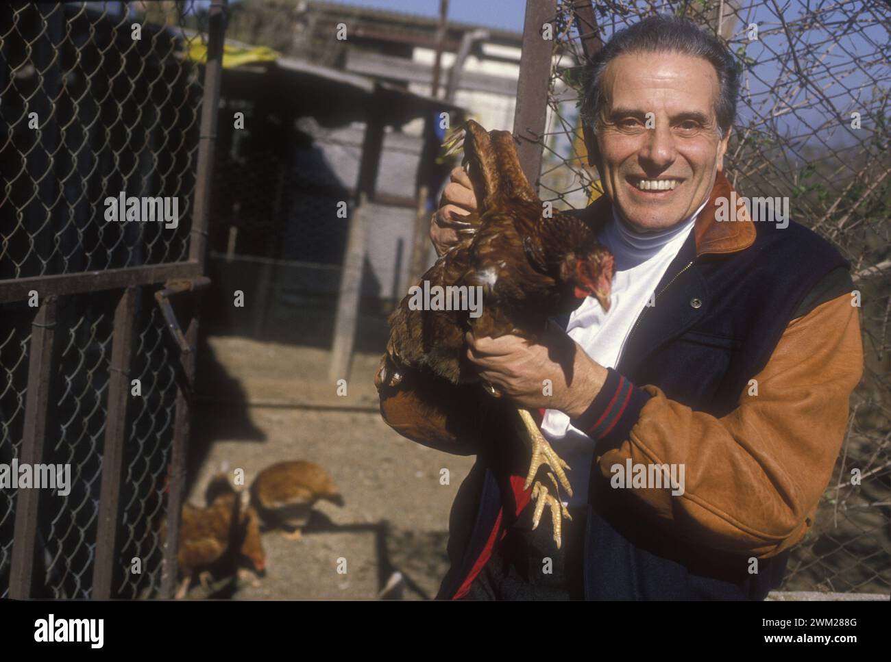 Animali america hi-res stock photography and images - Alamy