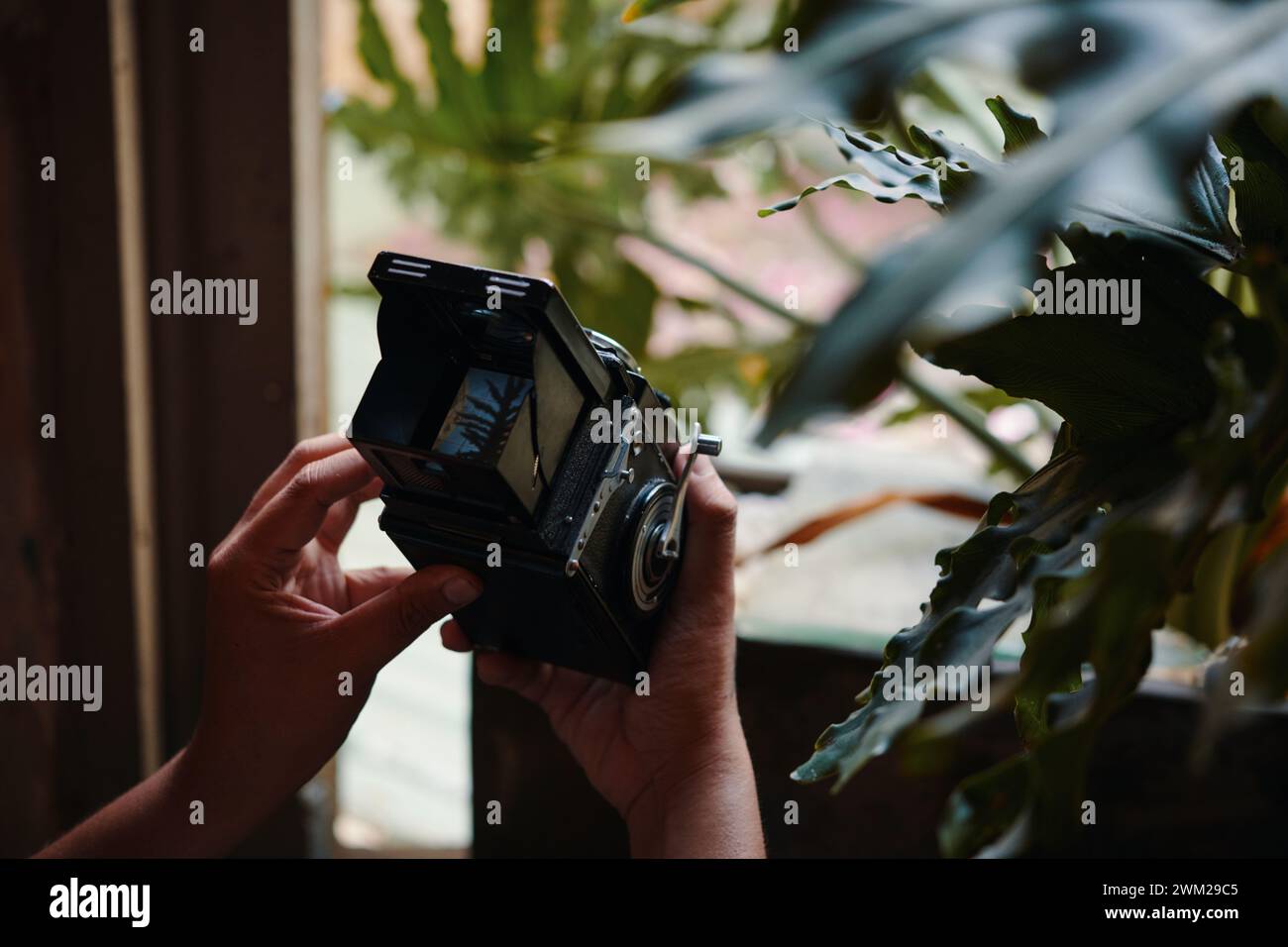 Creative photographer learning how to take photos with analog camera ...
