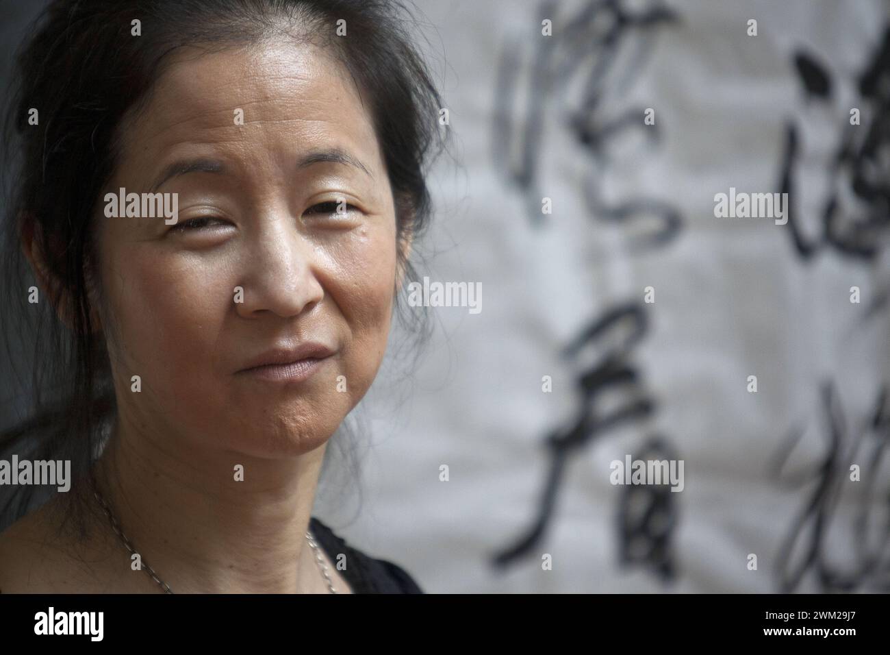 MME4806161 Festival of Literatures, Rome 2012. Japanese-American writer ...