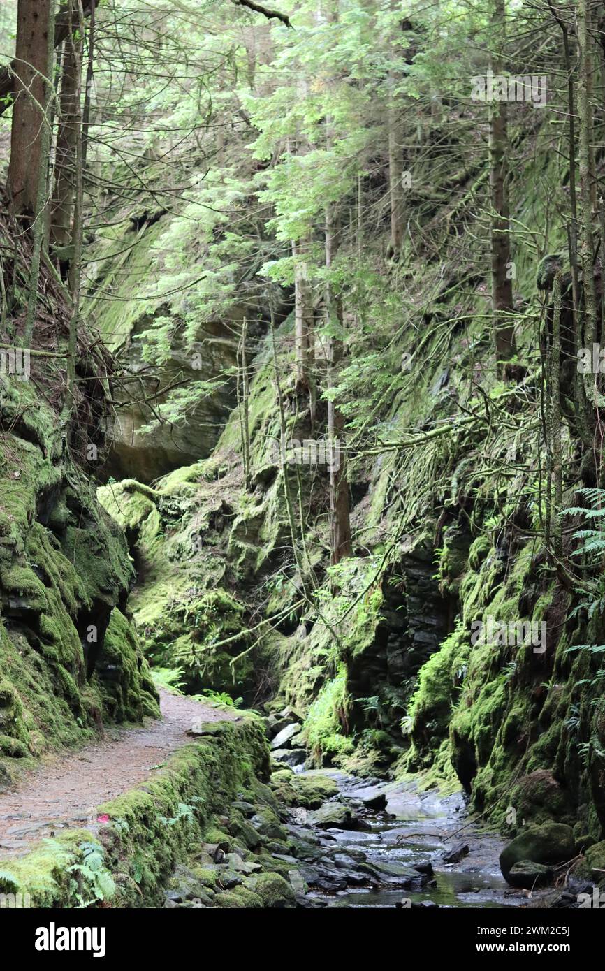 Walking through narrow canyon rock hi-res stock photography and images ...