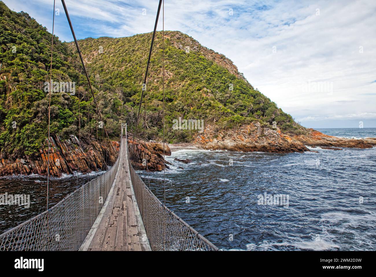 Suspension bridge tsitsikamma south africa hi-res stock photography and ...