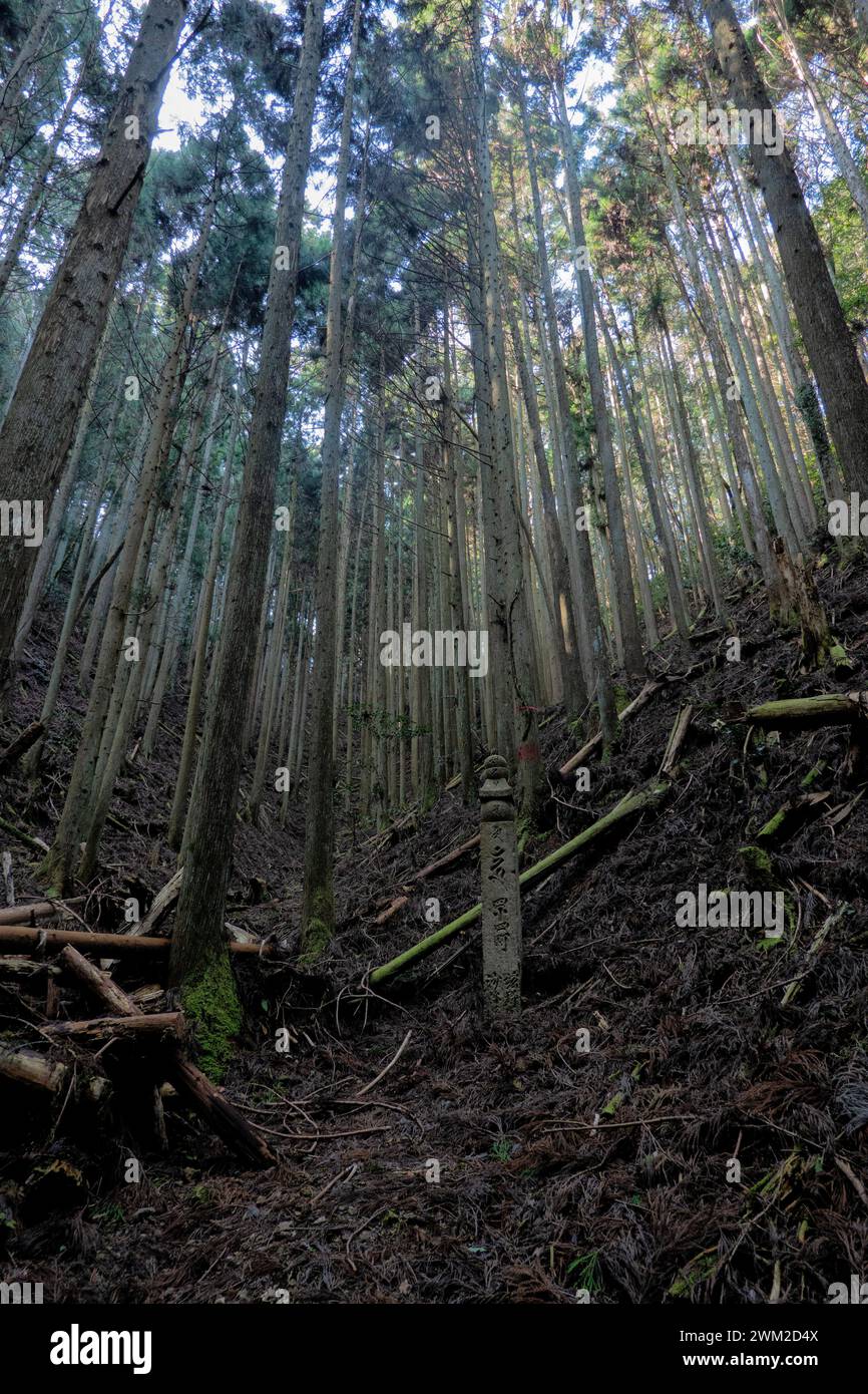 Choishi stone distance marker on the Choishimichi Kumano Kodo ...
