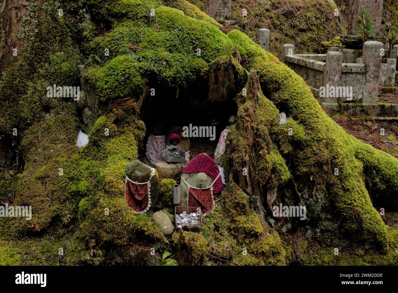 Jizo statues in the Okunoin Cemetery, Mount Koya (Koyasan), Wakayama ...