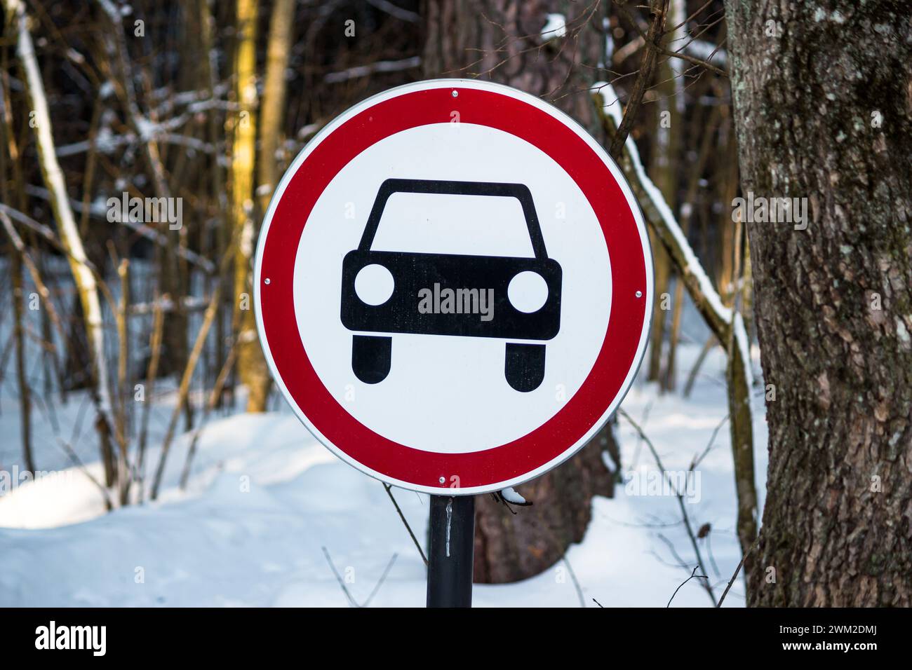 Road sign near the forest Entry prohibited, image of a car inside a red ...
