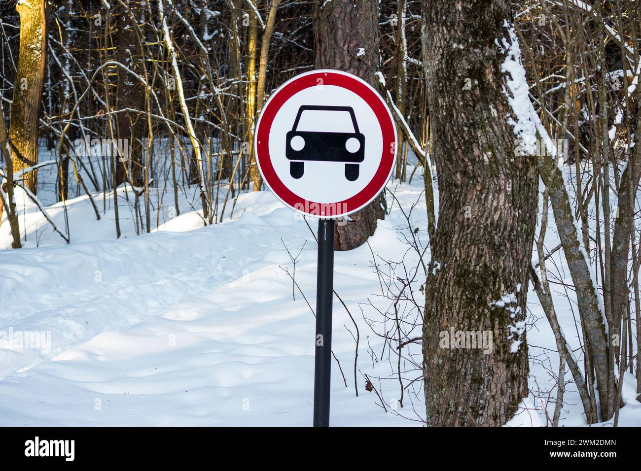 Road sign near the forest Entry prohibited, image of a car inside a red ...