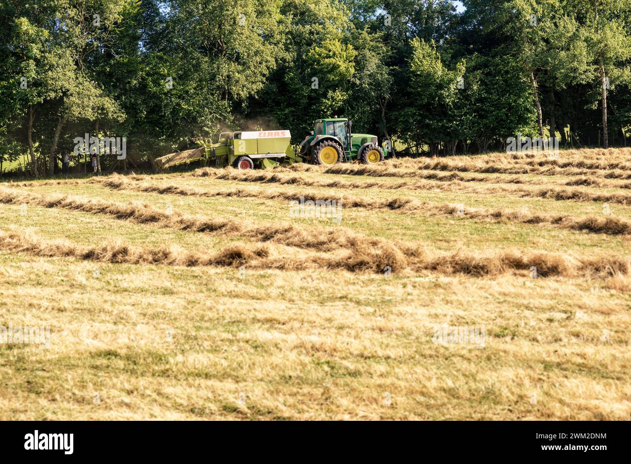 Tractor with a baler is making straw bales. Gujuli, Urkabustaiz, Araba ...