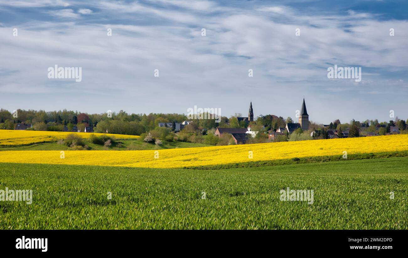 view to ratingen homberg over rapeseed field at spring and cloudy blue ...