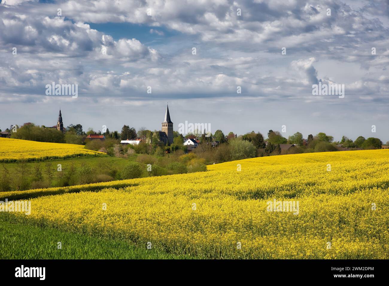 view to ratingen homberg over rapeseed field at spring and cloudy blue ...