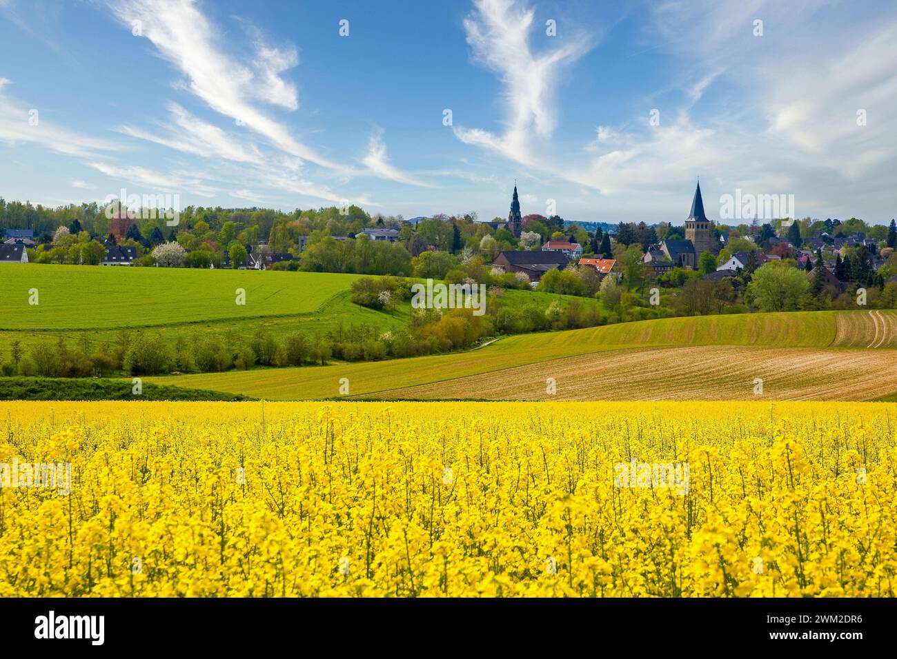 view to ratingen homberg over rapeseed field at spring and cloudy blue ...