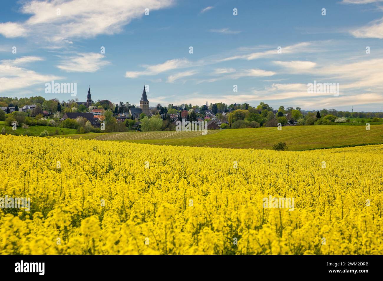 view to ratingen homberg over rapeseed field at spring and cloudy blue ...