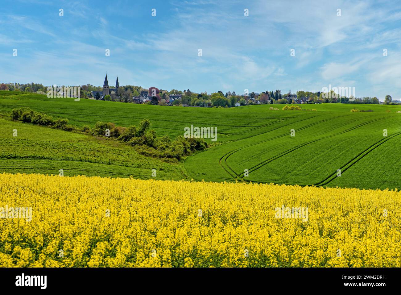 view to ratingen homberg over rapeseed field at spring and cloudy blue ...