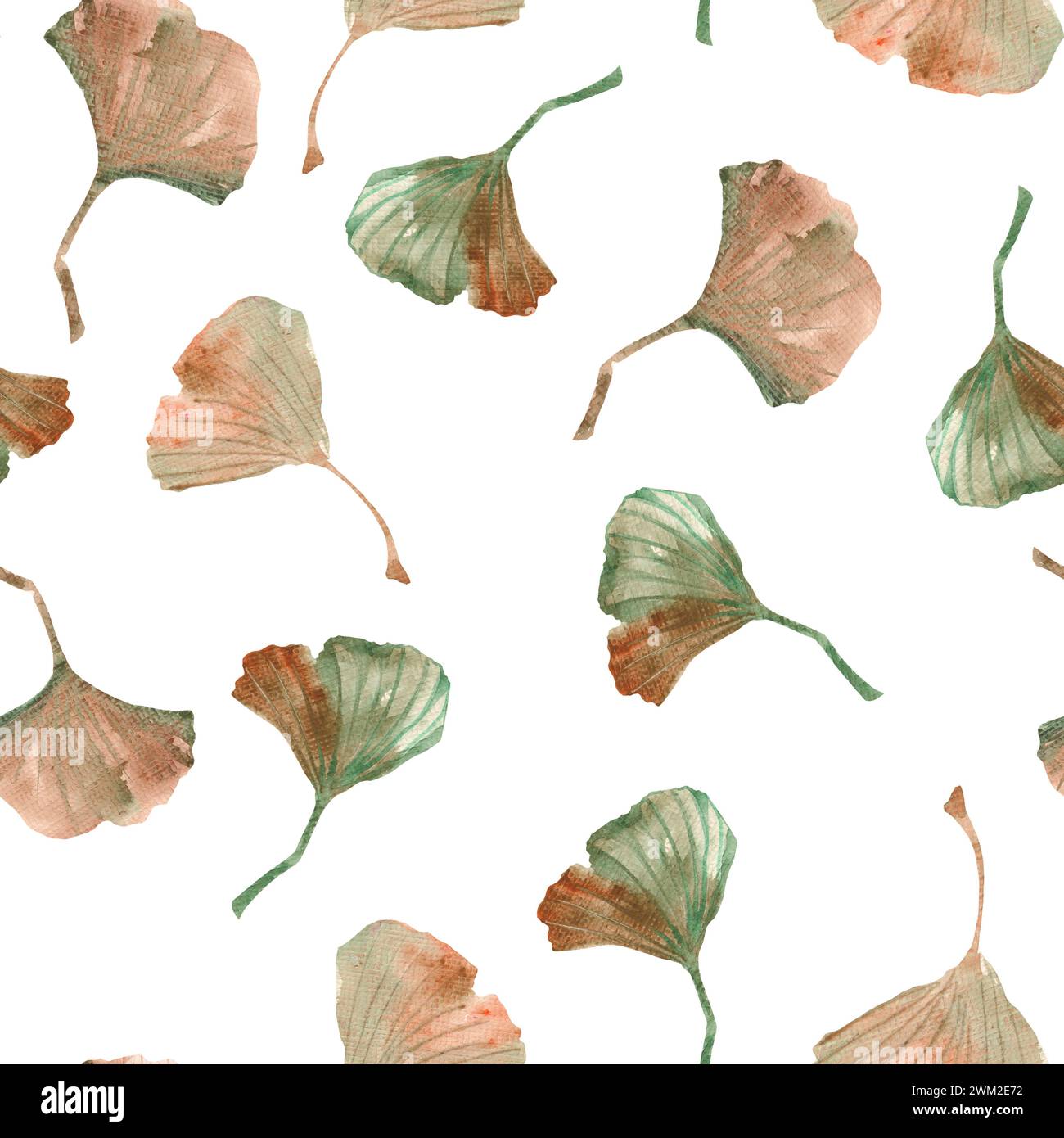 Gingko leaves autumn Cut Out Stock Images & Pictures - Alamy