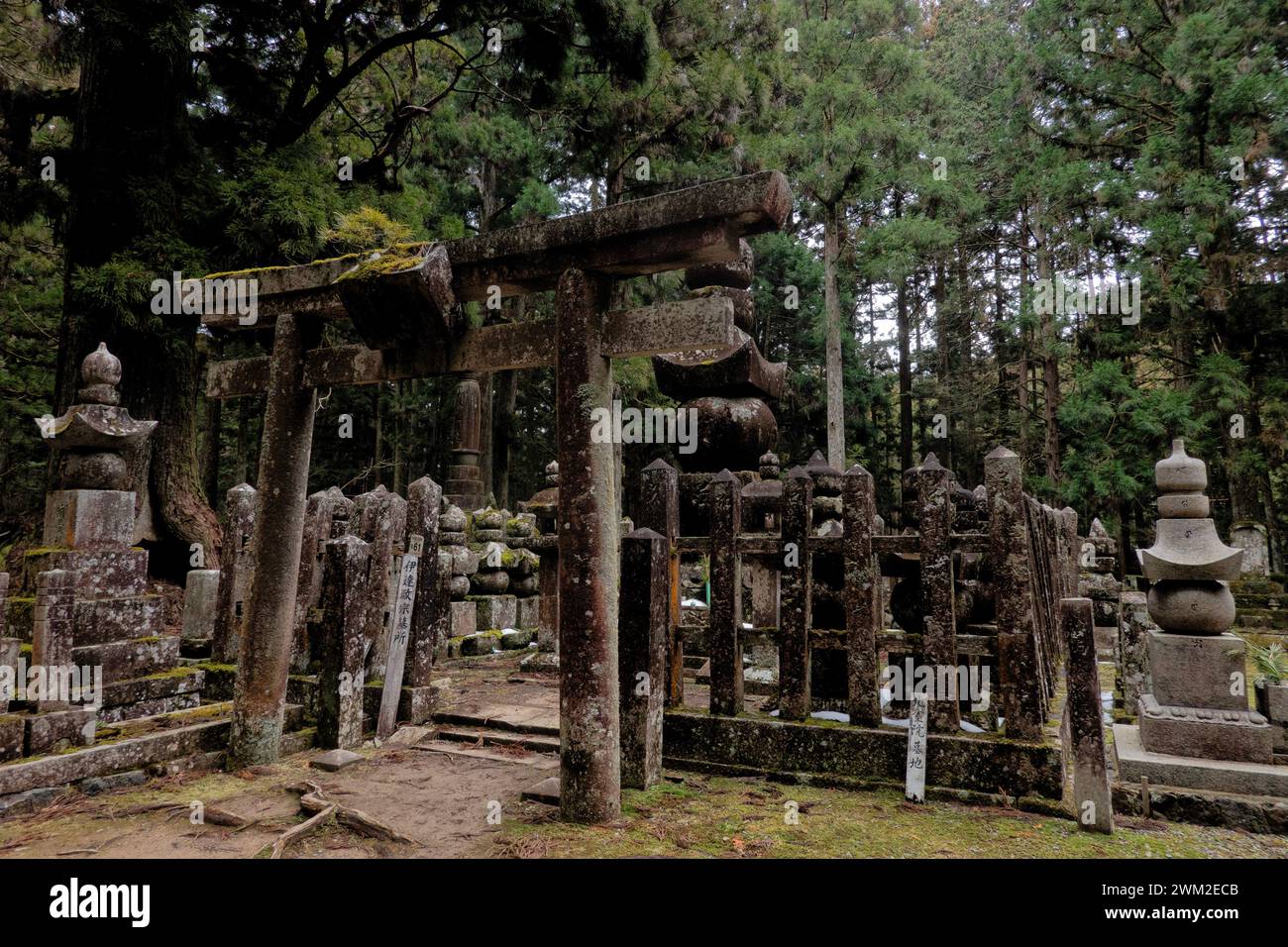 The moss covered atmospheric Okunoin Cemetery, Mount Koya (Koyasan ...