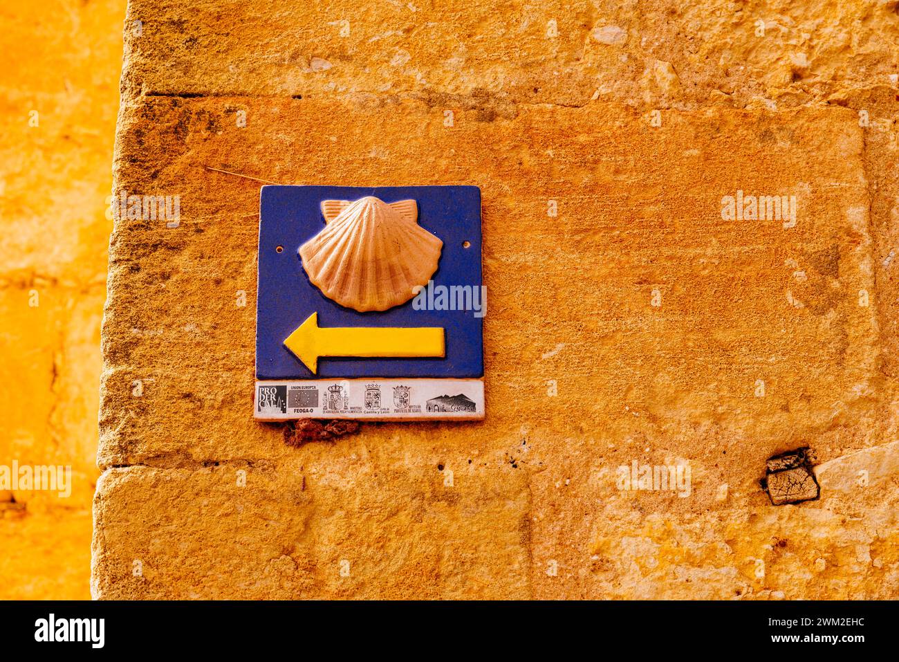 Ceramic plate with the yellow shell, symbol of the Camino de Santiago ...