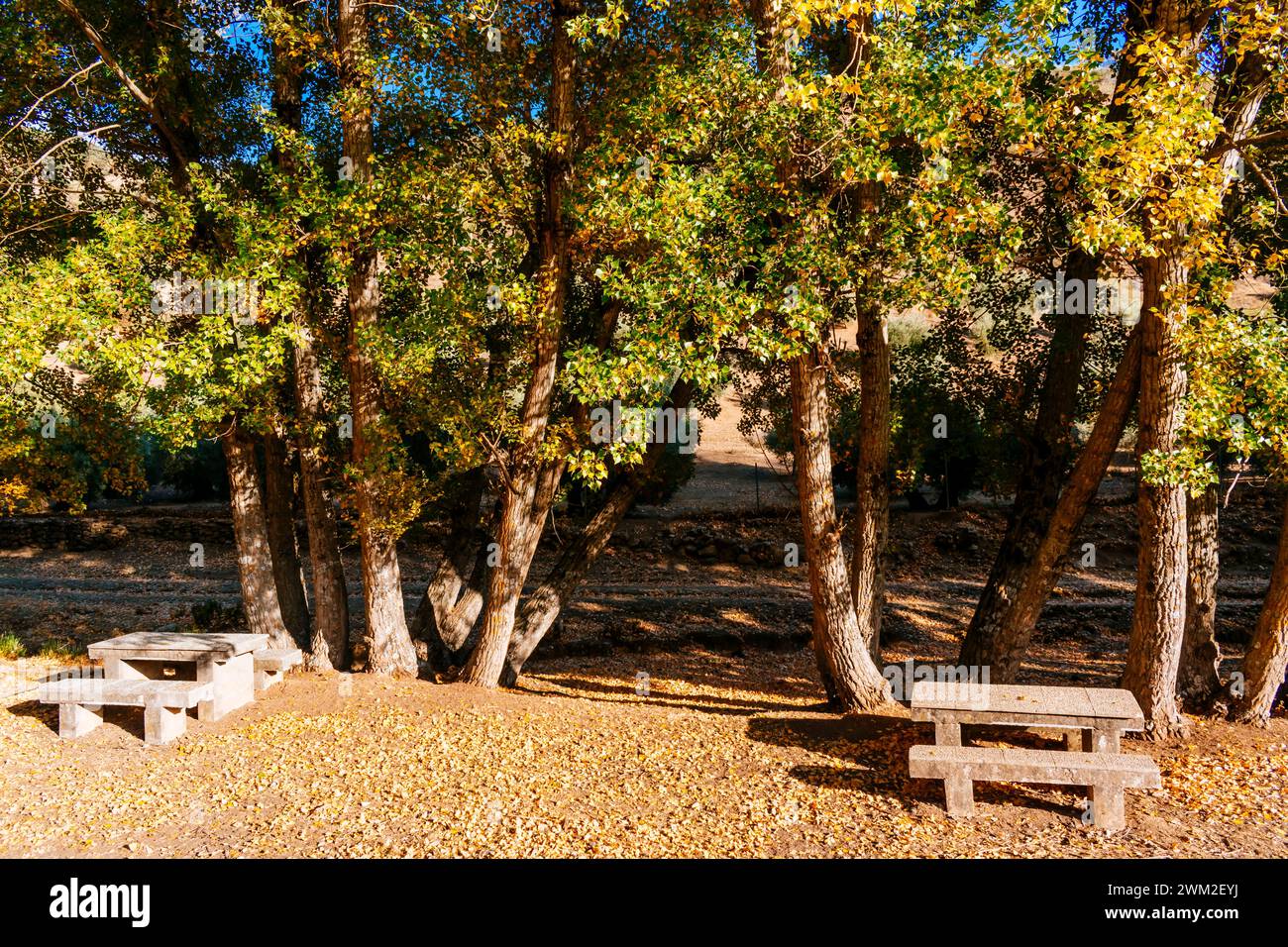 Fuente de El Raso recreational area in autumn. Frailes, Jaén, Andalucía ...