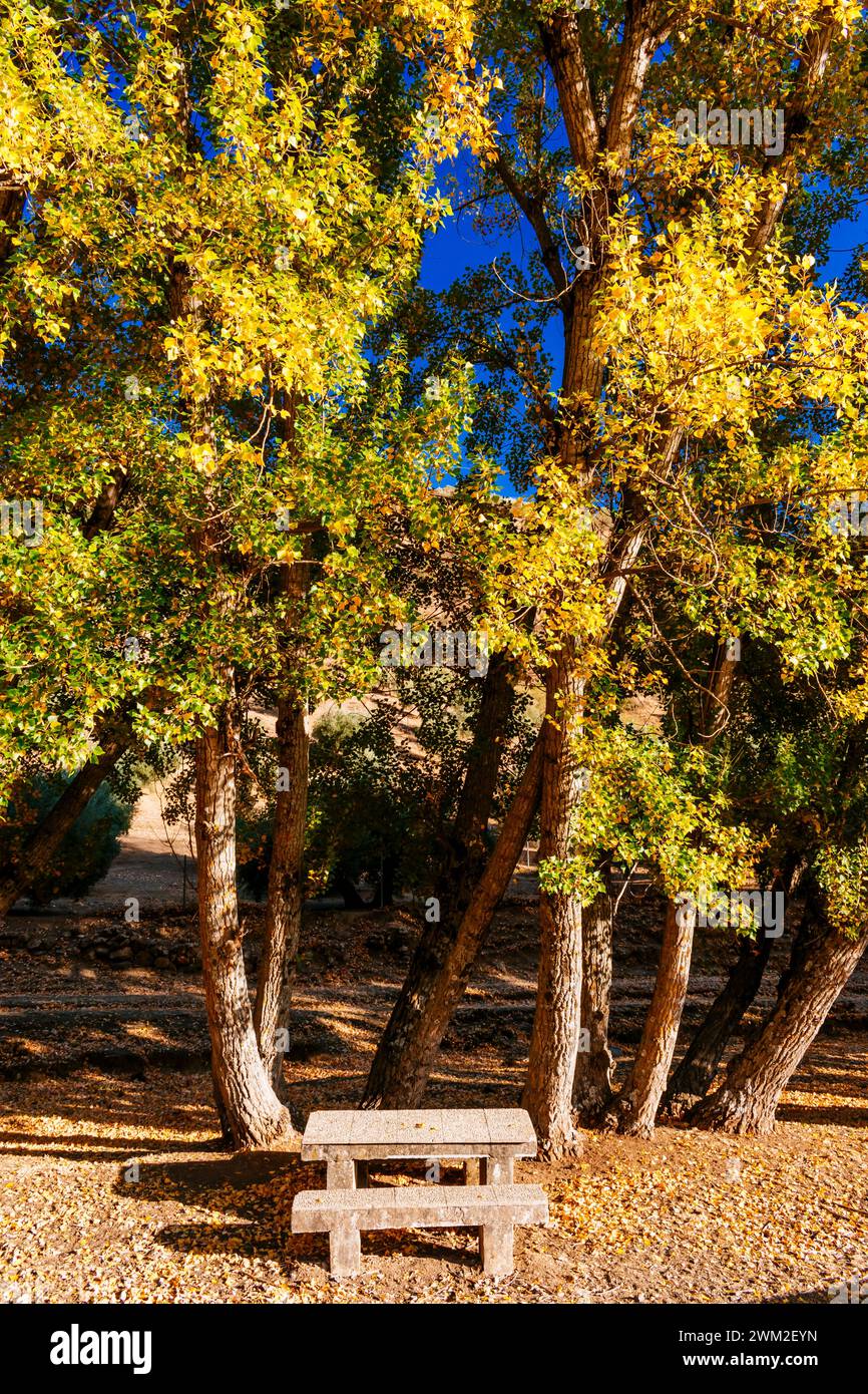 Fuente de El Raso recreational area in autumn. Frailes, Jaén, Andalucía ...