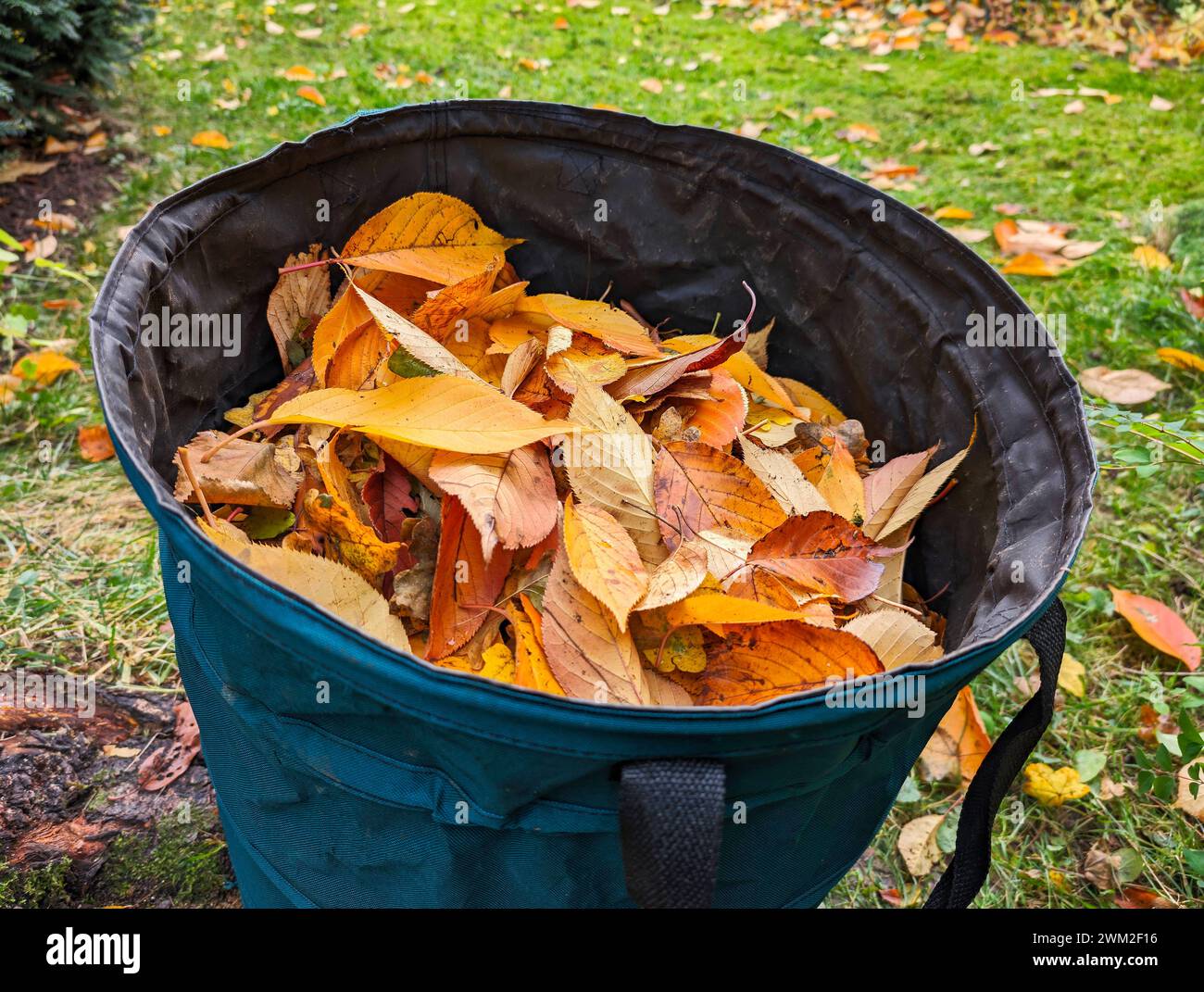 Lawn and leaf bag hi-res stock photography and images - Alamy