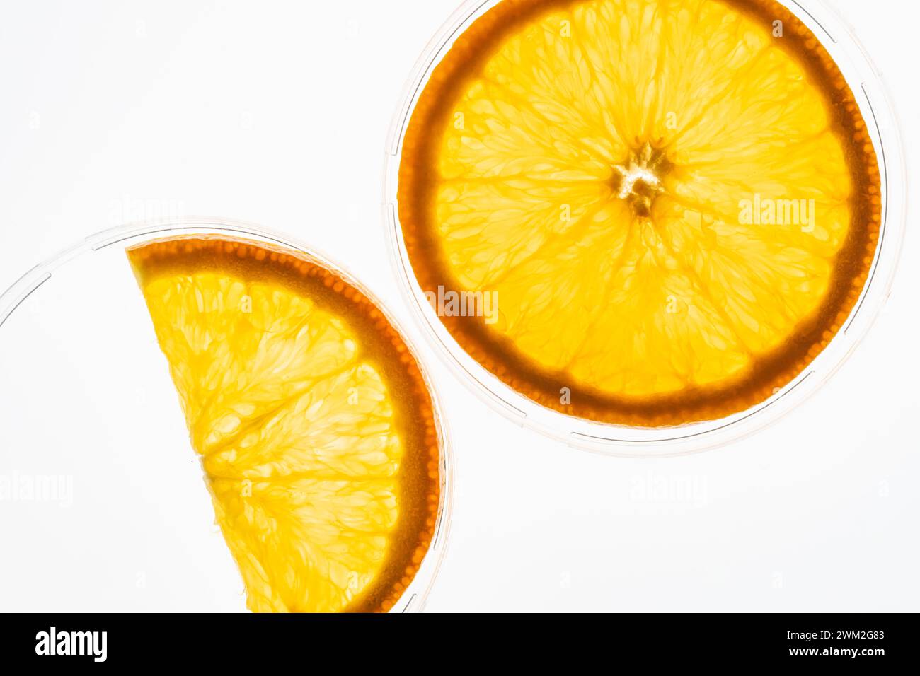 Macro photo of slices of ripe juicy orange with back light isolated on ...