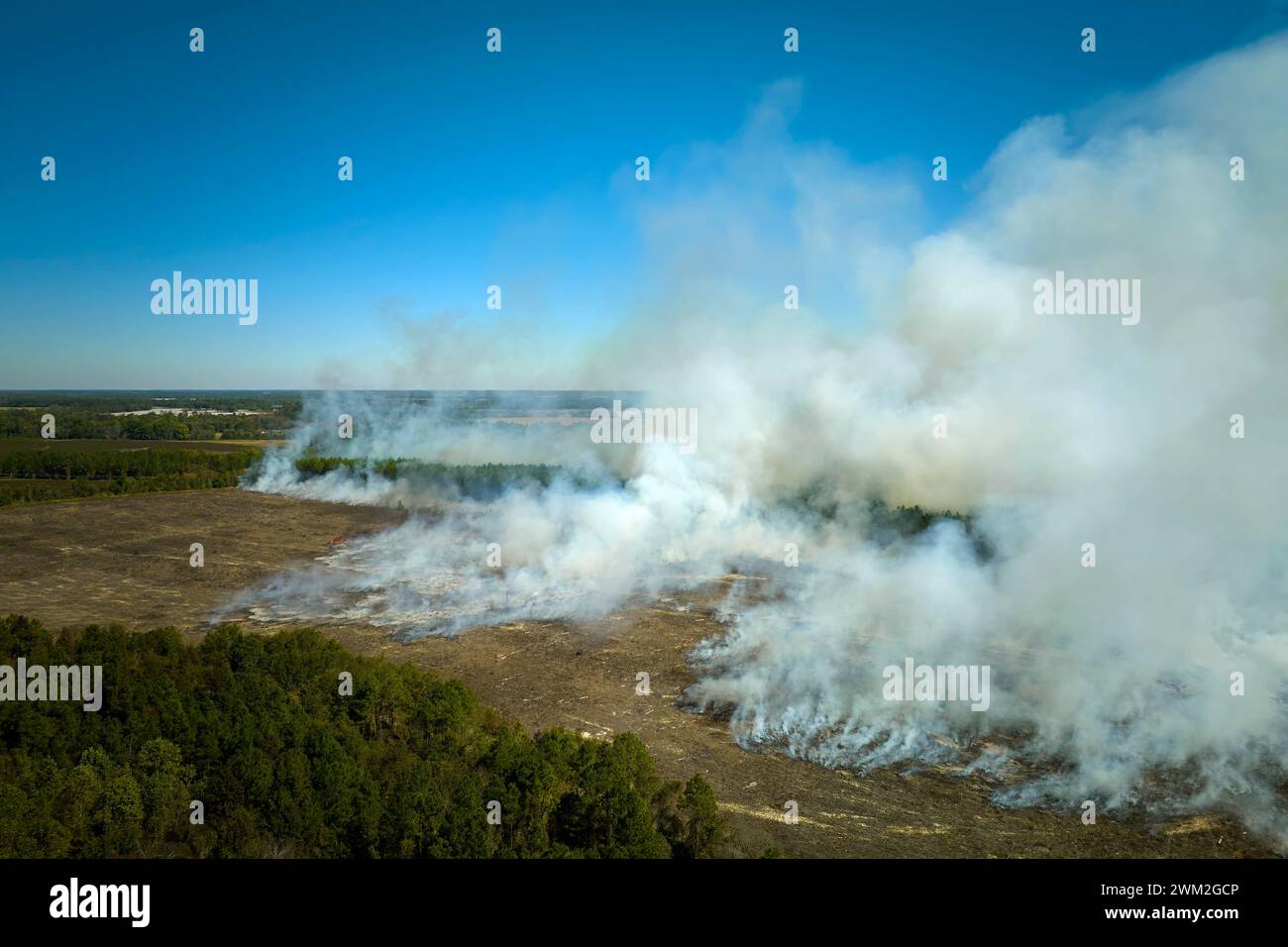 Aerial view of white smoke from forest fire rising up polluting ...