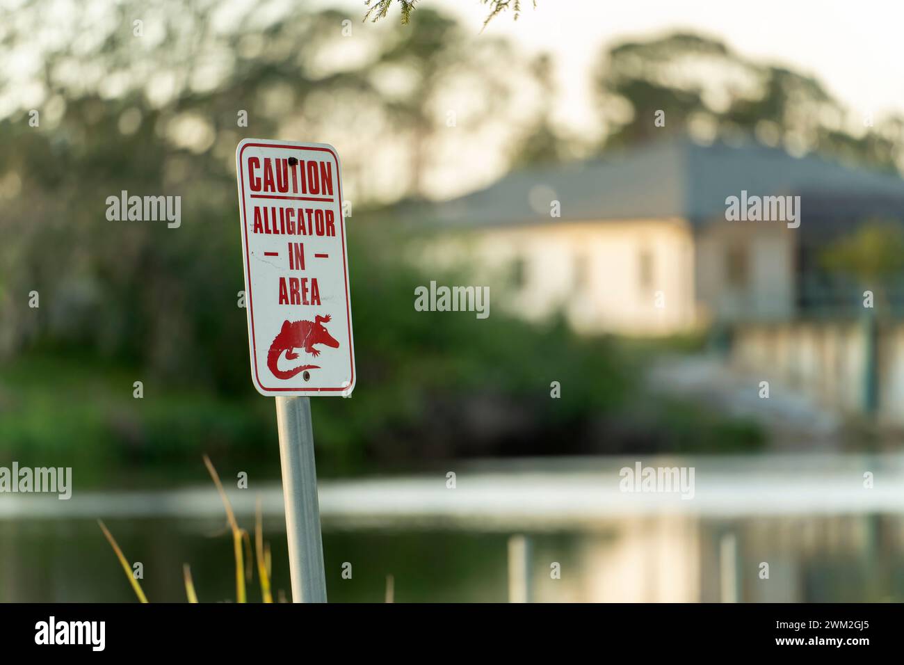Alligator danger warning signpost in Florida waterfront park about ...