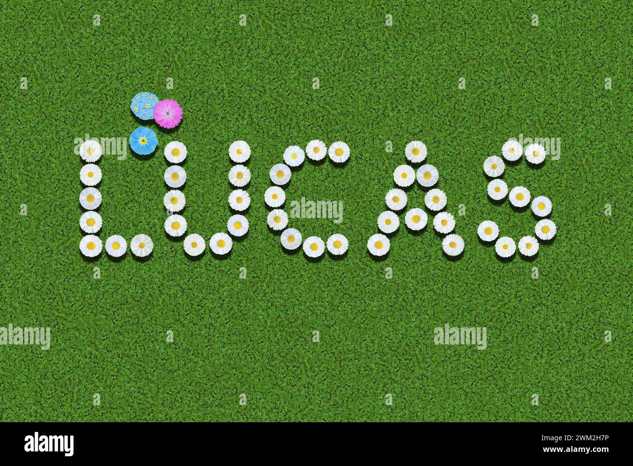 the ten most popular first names for boys in the US and UK Stock Photo ...