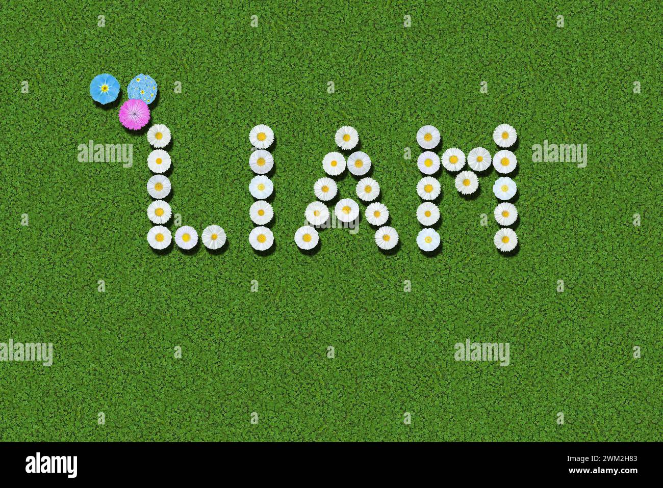 the ten most popular first names for boys in the US and UK Stock Photo ...