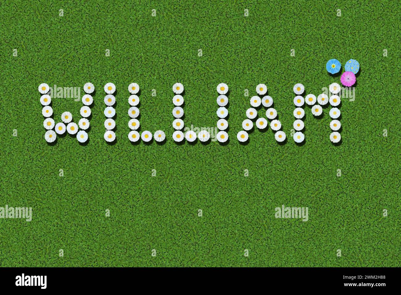 the ten most popular first names for boys in the US and UK Stock Photo ...