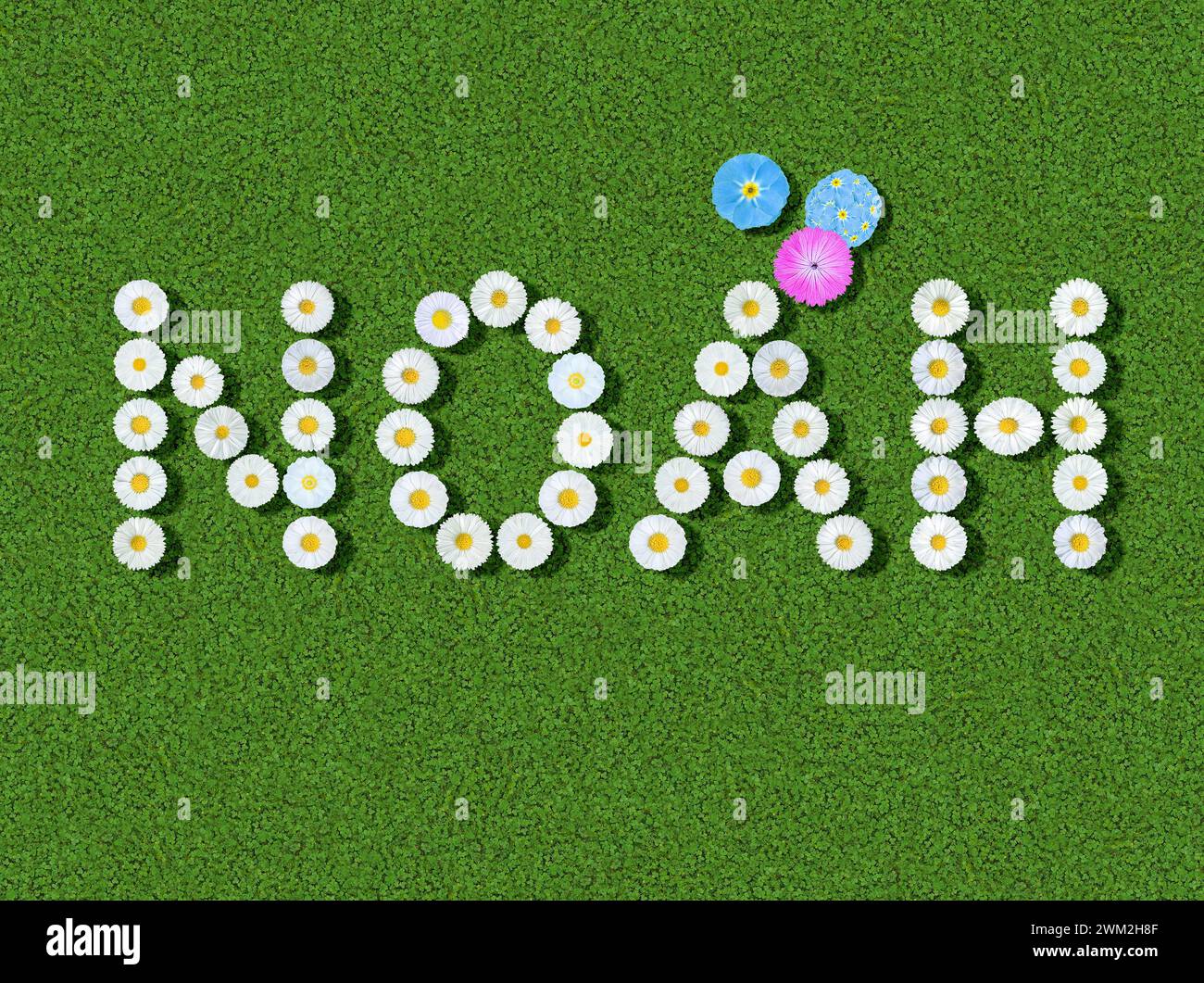 the ten most popular first names for boys in the US and UK Stock Photo ...